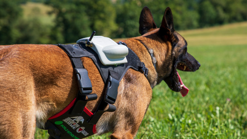 References - DIGGER DTR